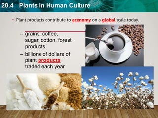 Culturally Significant Plants .ppt