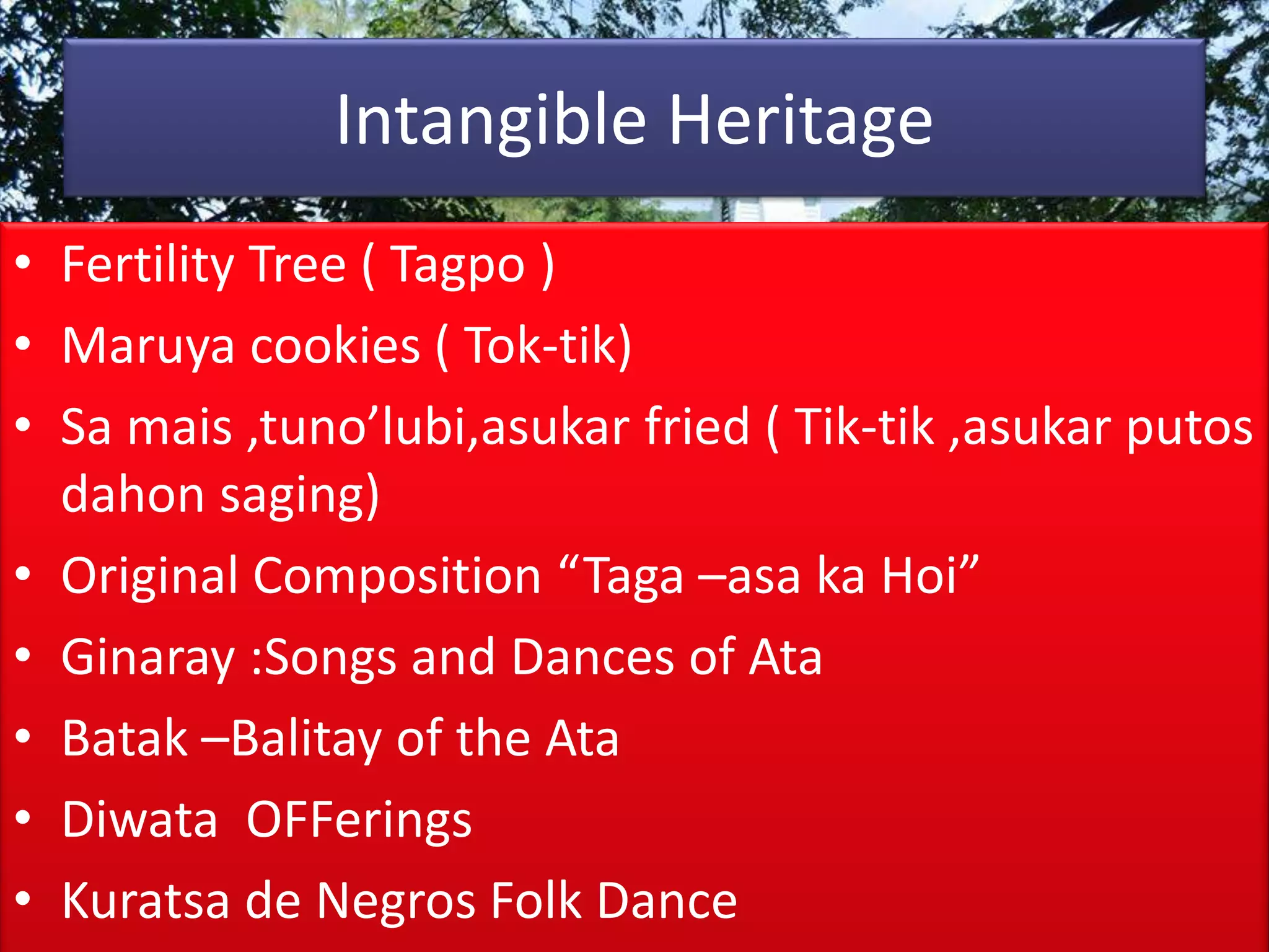 Cultural Mapping For Bais City | PPTX