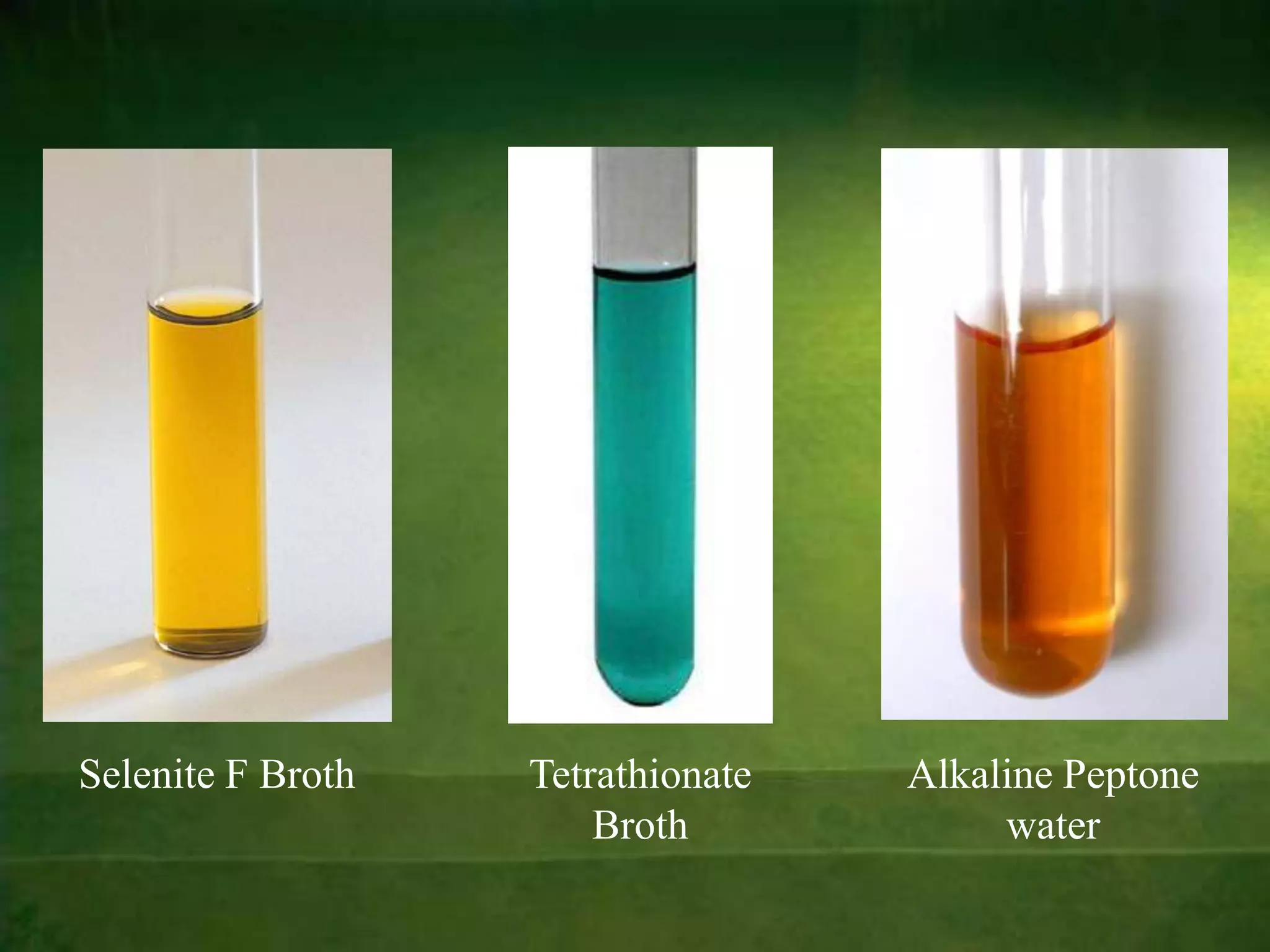 Culture media & methods | PPSX
