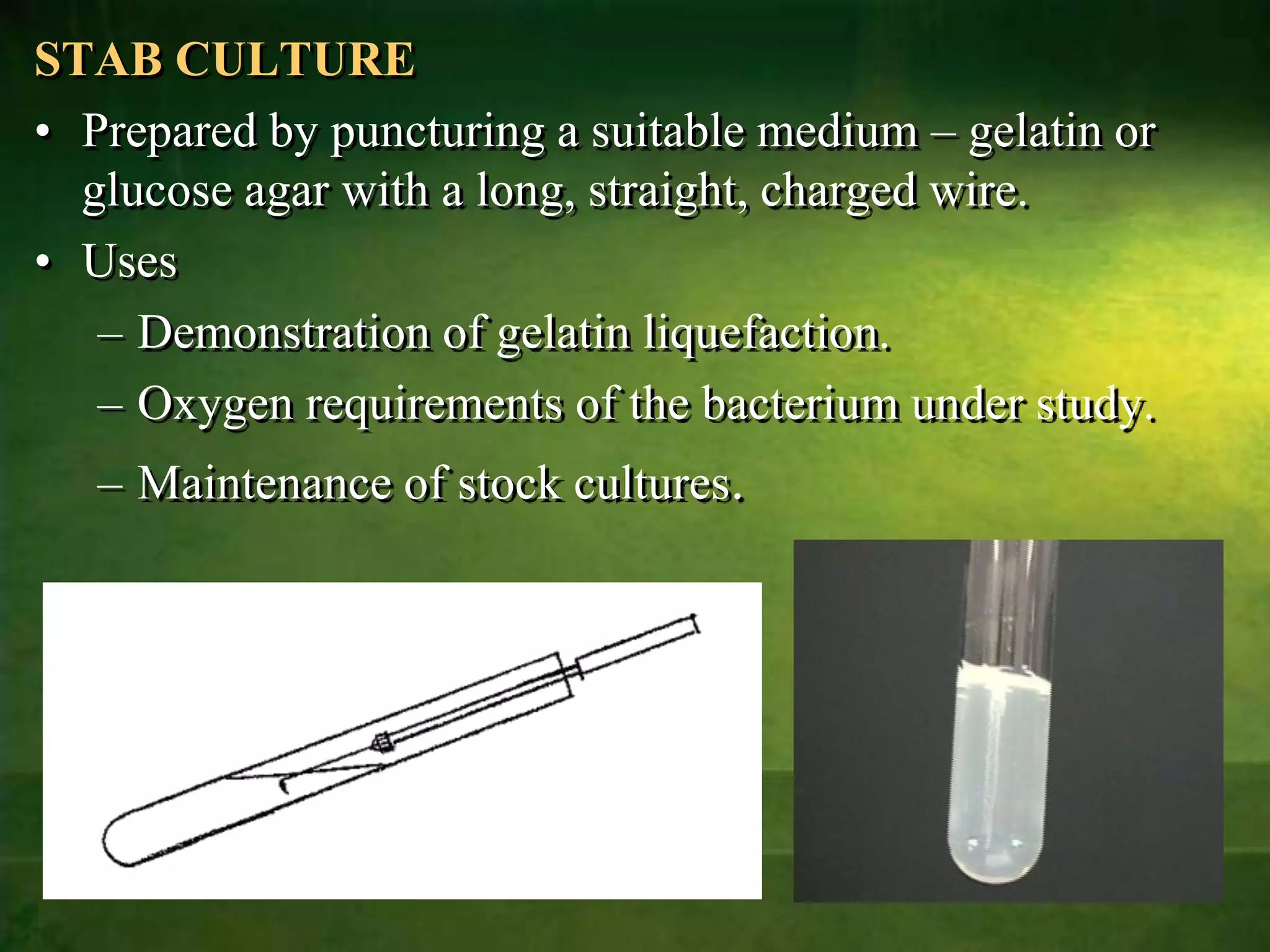 Culture media & methods | PPSX