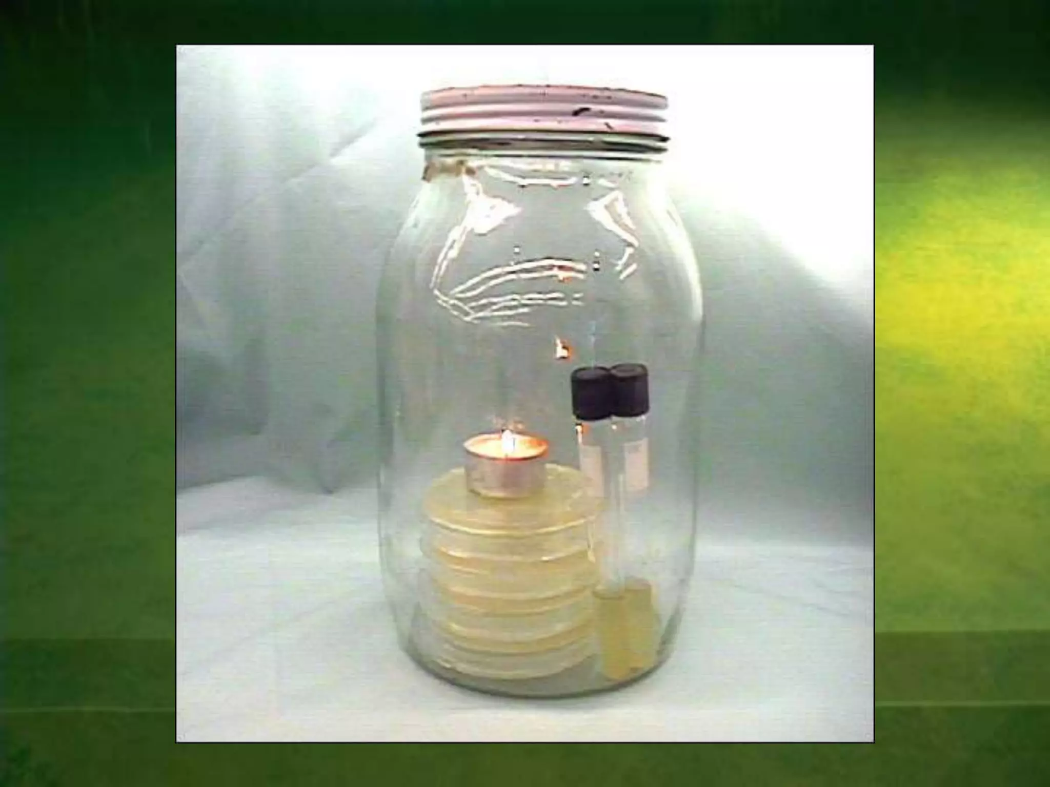 Culture media & methods | PPSX