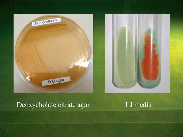 Culture media & methods | PPSX