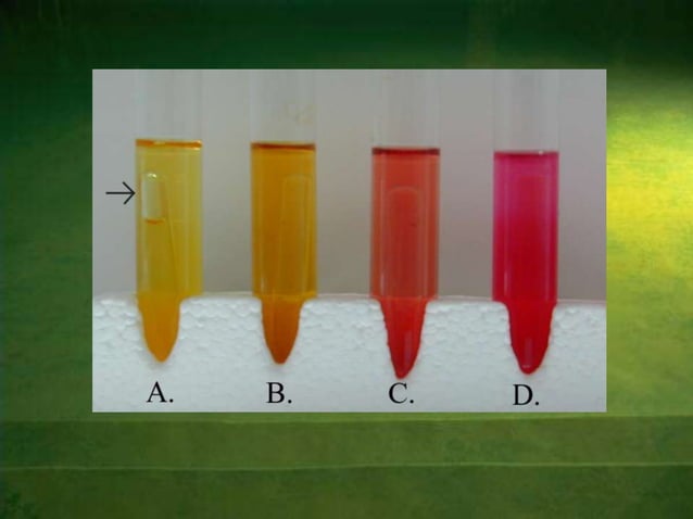 Culture media & methods | PPSX