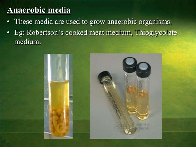 Culture media & methods | PPSX