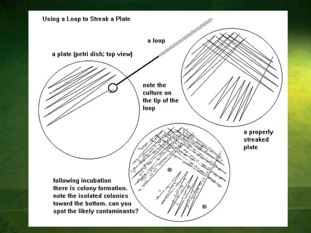 Culture media & methods | PPSX