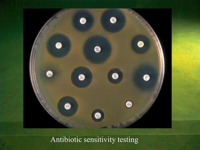 Culture media & methods | PPSX