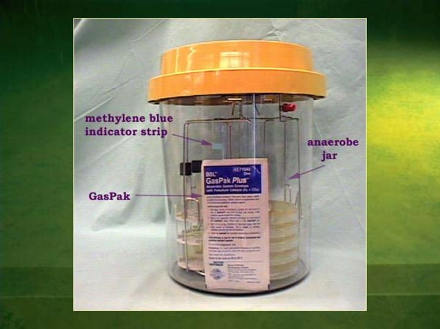 Culture media & methods | PPSX