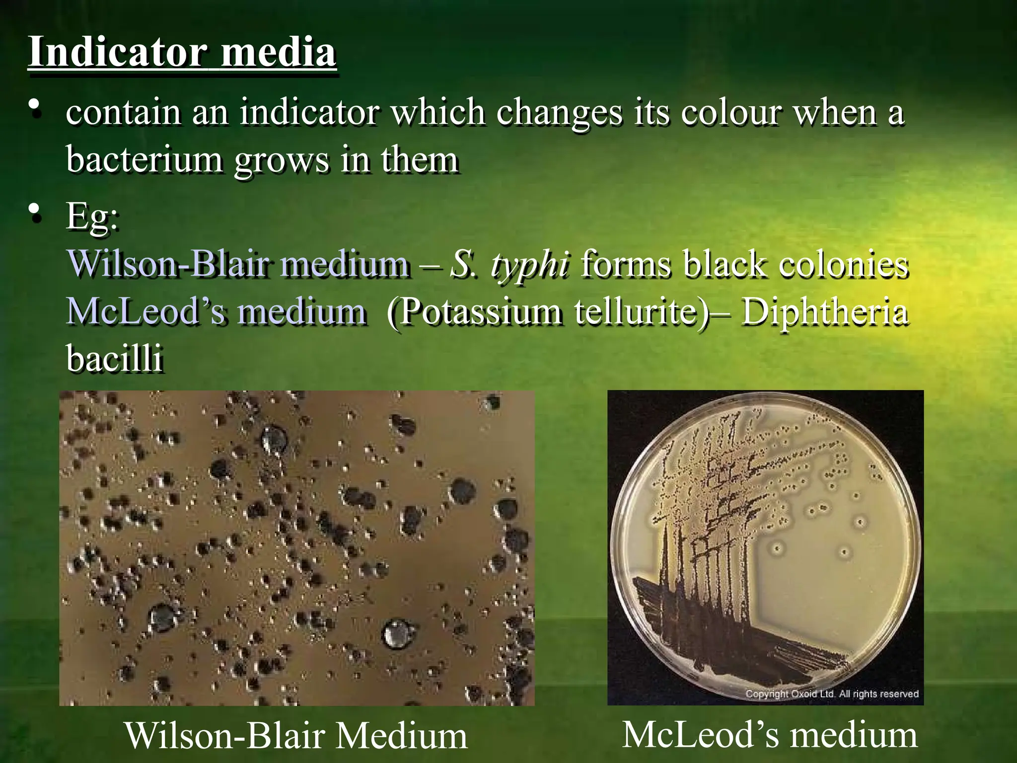 culturalmediamethods-131228081632-phpapp01 [Autosaved].pptx