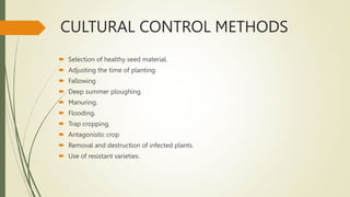 CULTURAL METHOD IN NEMATODE CONTROL HariniP.pptx