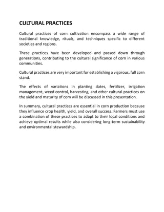 CULTURAL PRACTICES - CORN.docx