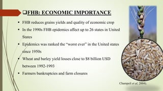 Cultural practices for FHB | PPTX