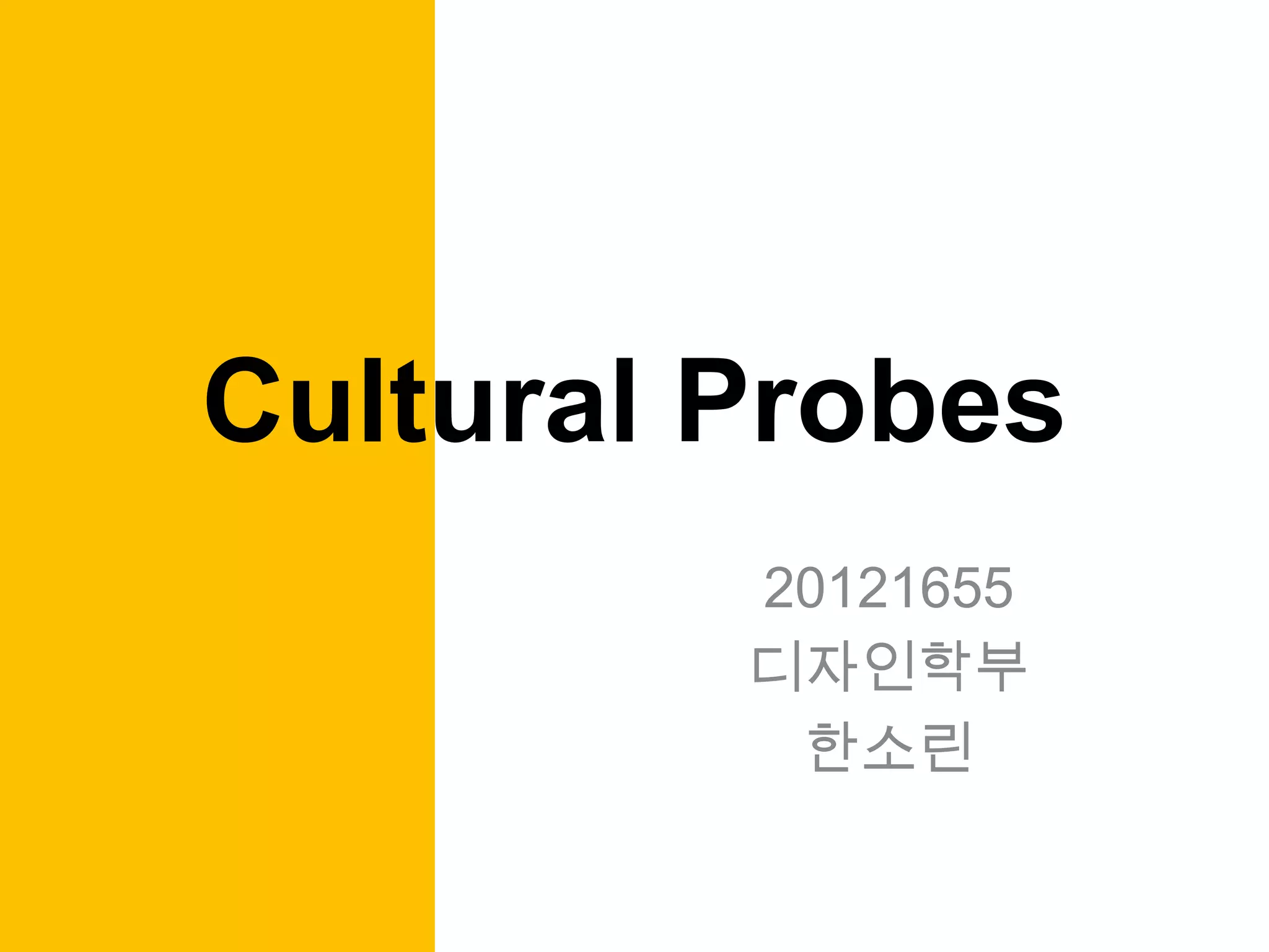 Cultural probes | PPTX
