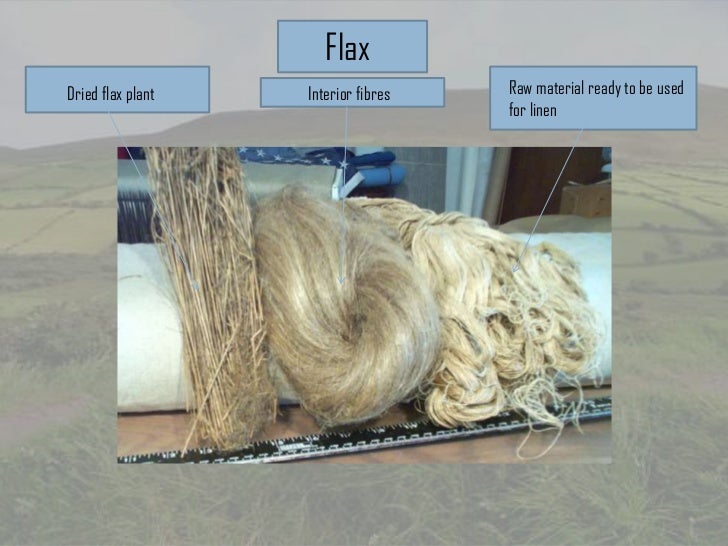 Cultural referencesseamus heaneypoetry