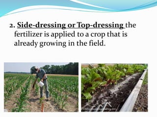 Cultural requirement of crops | PPTX