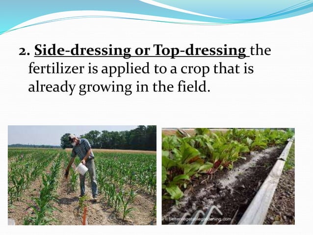 Cultural requirement of crops | PPTX | Agriculture | Industries