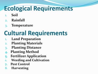 Cultural requirement of crops | PPTX