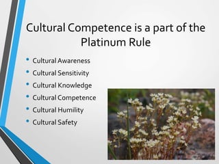Cultural Safety in the Workplace | PPTX