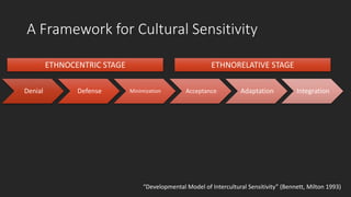 Cultural Sensitivity: An Introduction | PPTX