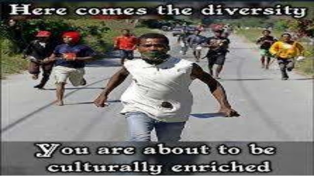 Cultural solidarity | PPTX