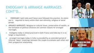 Cultural stereotyping france and india | PPTX