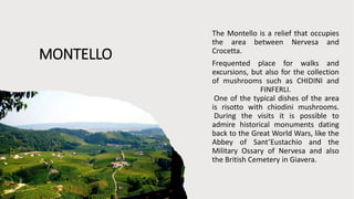 CULTURAL TOURISM (group B).pptx