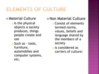 Cultural variability's, uniformities and ethnocentrism | PPT