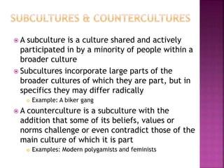 Cultural variability's, uniformities and ethnocentrism | PPT
