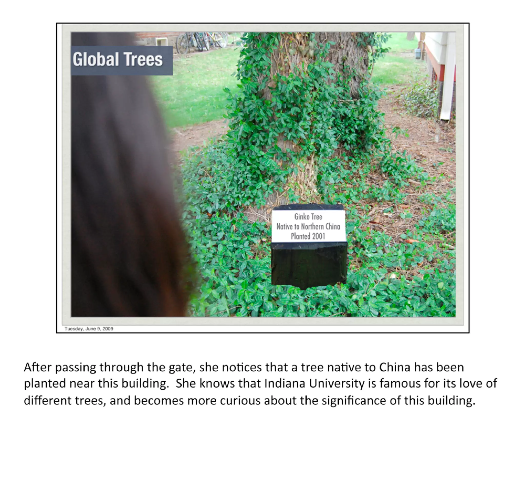 Cultural Wayfinding | PPT