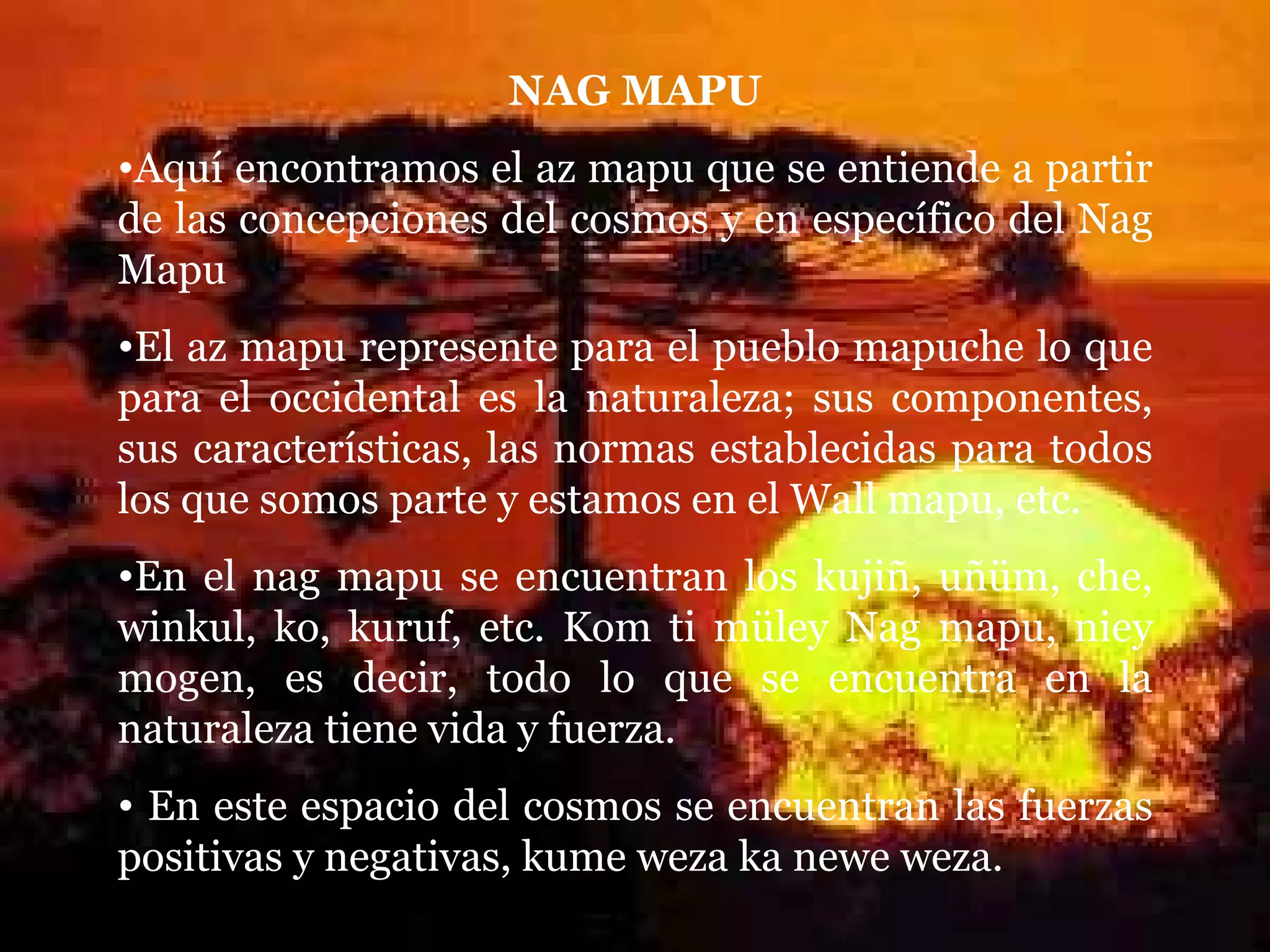 Cultura Mapuche Y Naturaleza | PPT