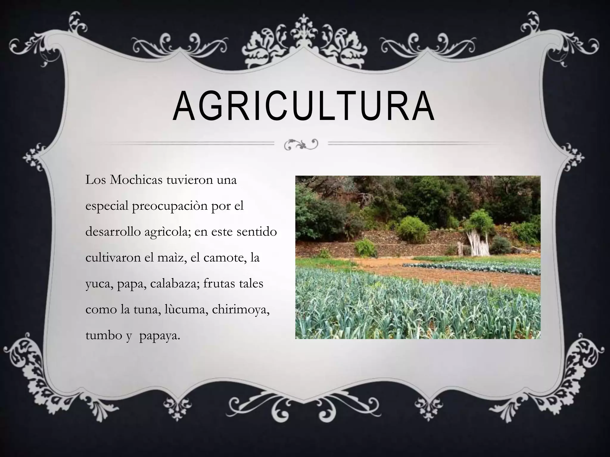 Cultura mochica | PPT