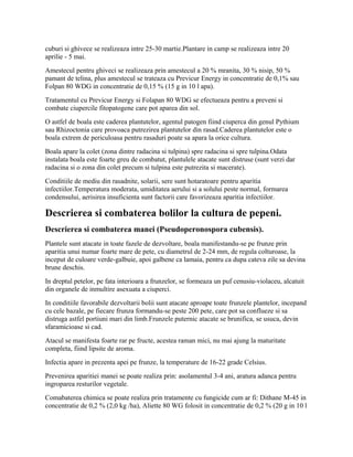 Cultura pepene verde | RTF