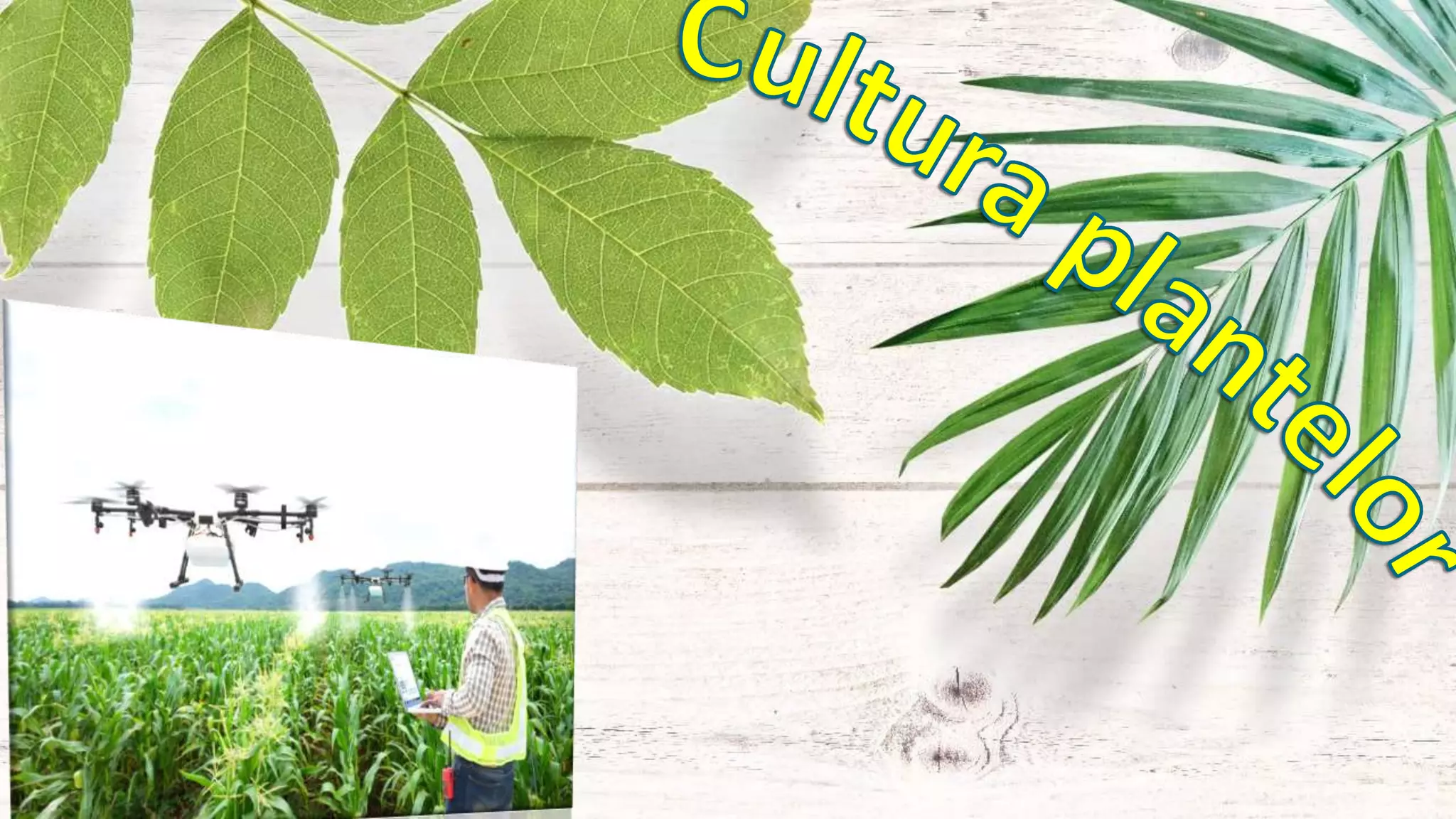 Cultura plantelor.pptx