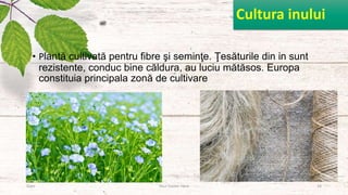 Cultura plantelor.pptx