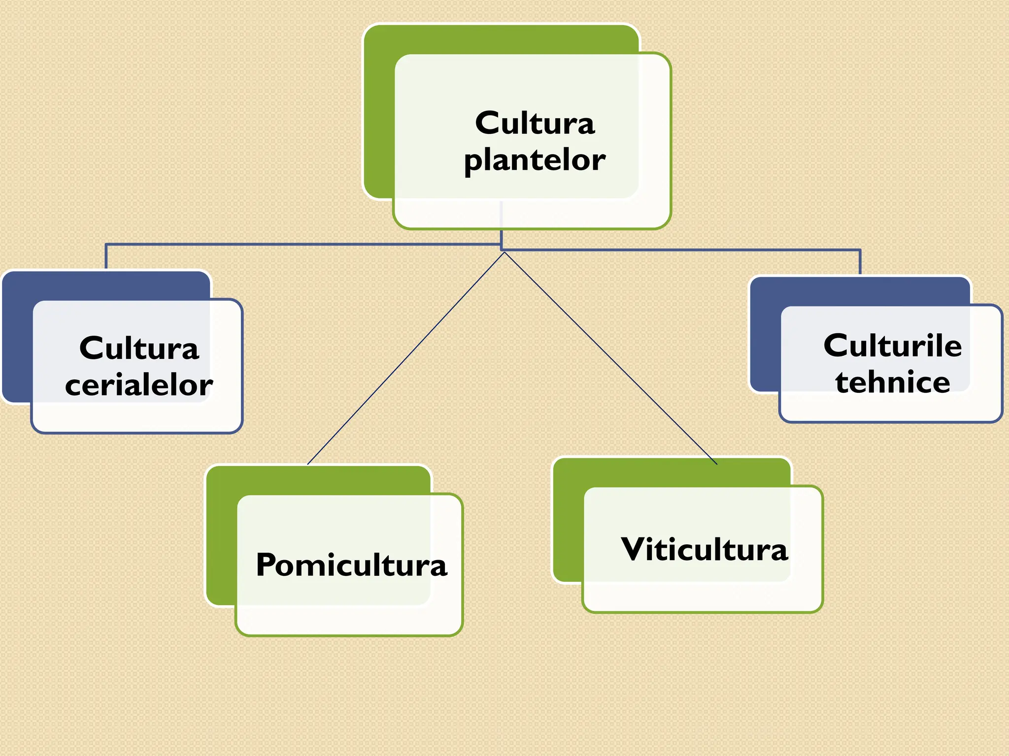 cultura plantelor.pptxcccccccccccccccccc | PPTX