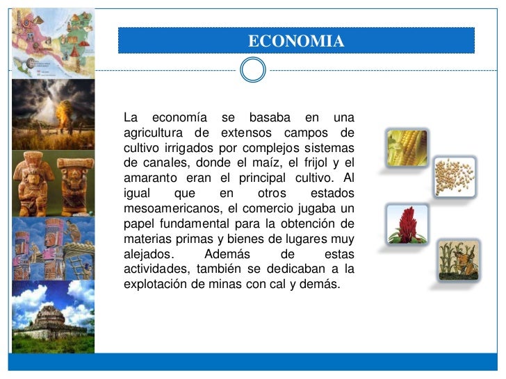 Agricultura De La Cultura Tolteca - slingo