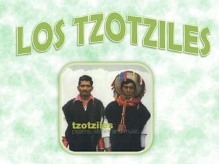 Cultura Tzotzil | PPTX