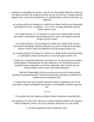 Cultura vitei de vie | DOCX