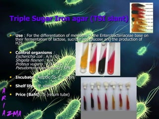 Culture-Abbas Morovvati | PPTX