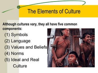 Culture | PPT