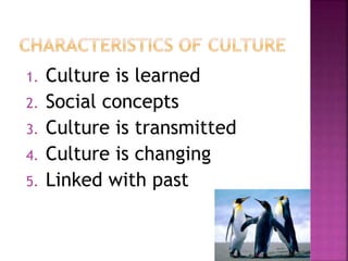 Culture | PPTX