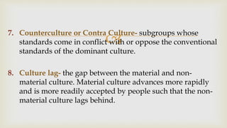 Culture | PPT | Free Download