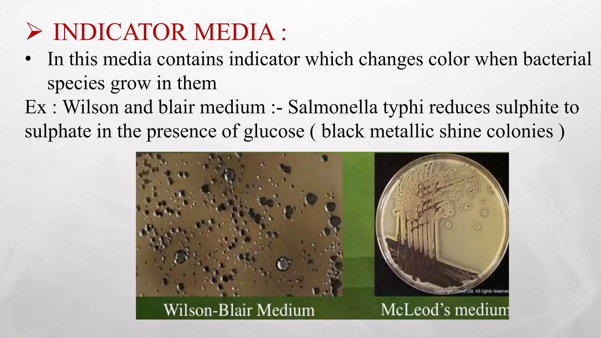 types of culture media | PPTX