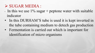 types of culture media | PPTX