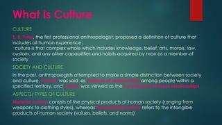 Culture.pptx types of culture, components, and political structure | PPTX