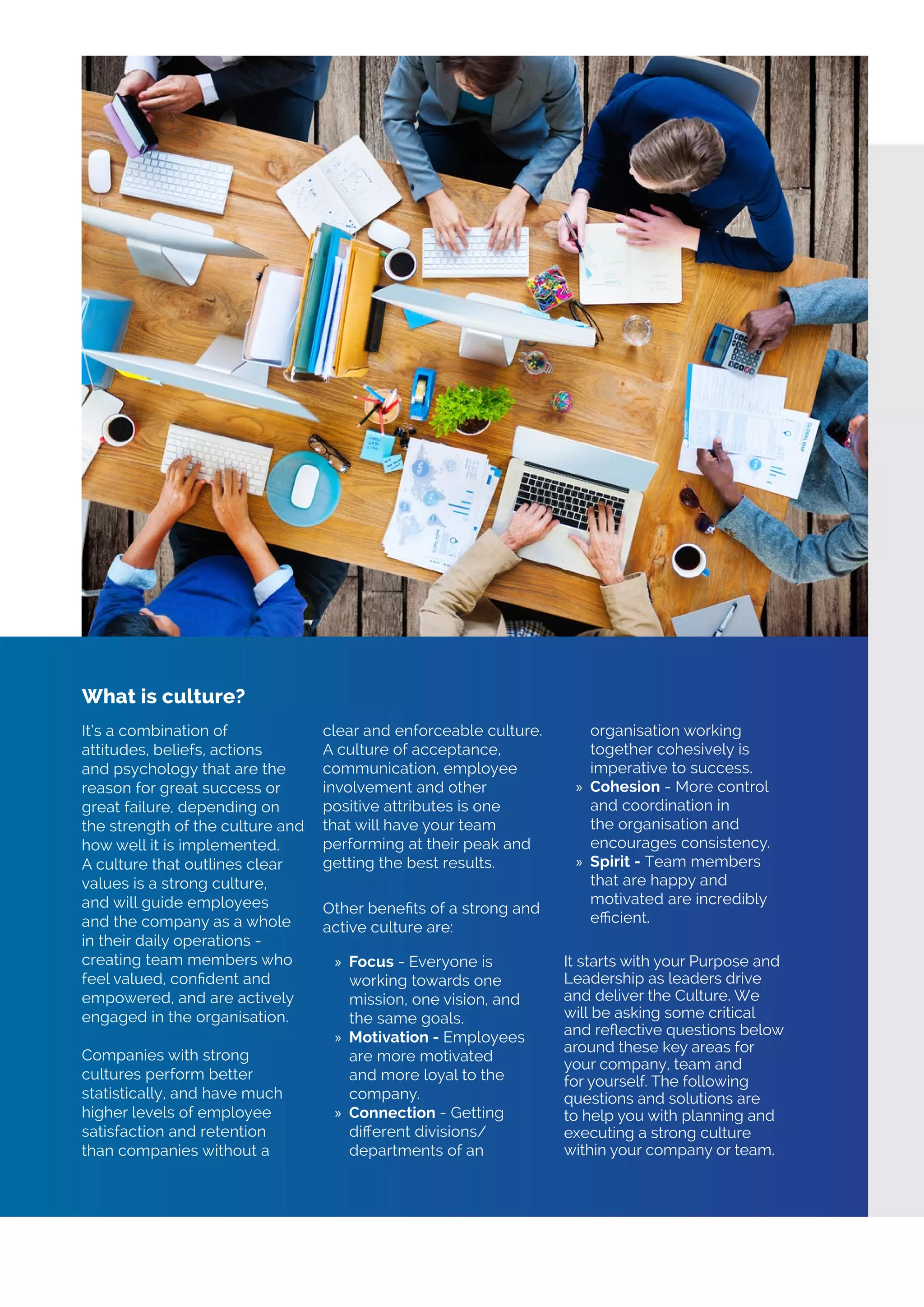 Organisational Culture Action Plan | PDF
