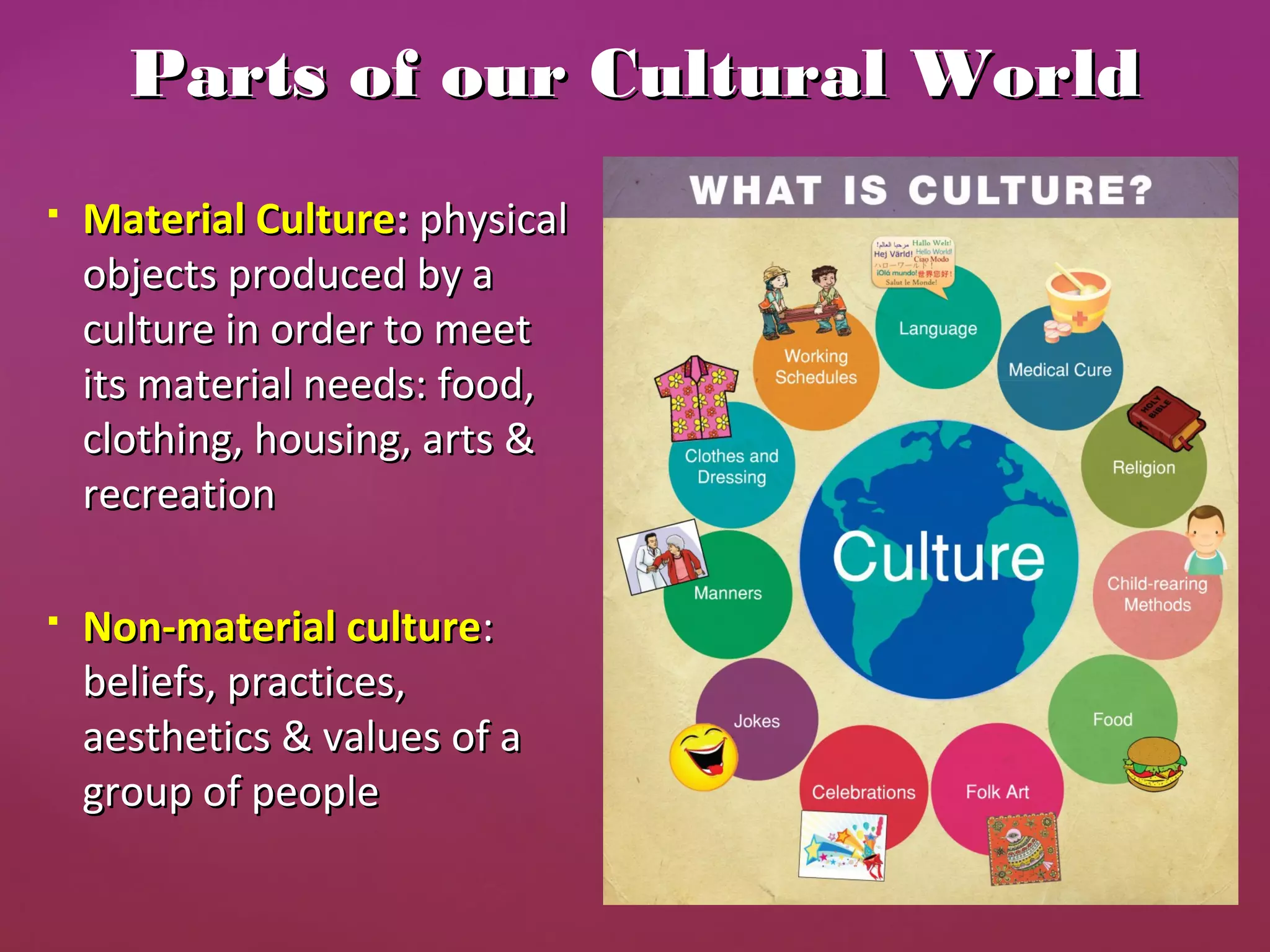 APHG Unit 3: Culture | PPT