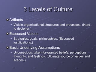 Culture In Organizations | PPT | Business Administration | Business