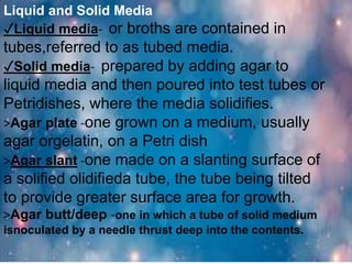 BS Marine Biology- Types of Culture Media | PPT