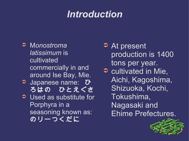 Culture of Monostroma | PPT