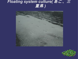 Culture of Monostroma | PPT